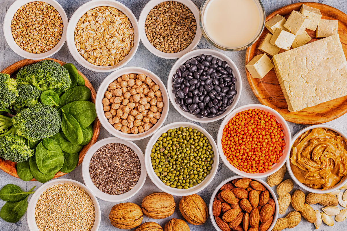 Top 10 Plant Based Protein Sources